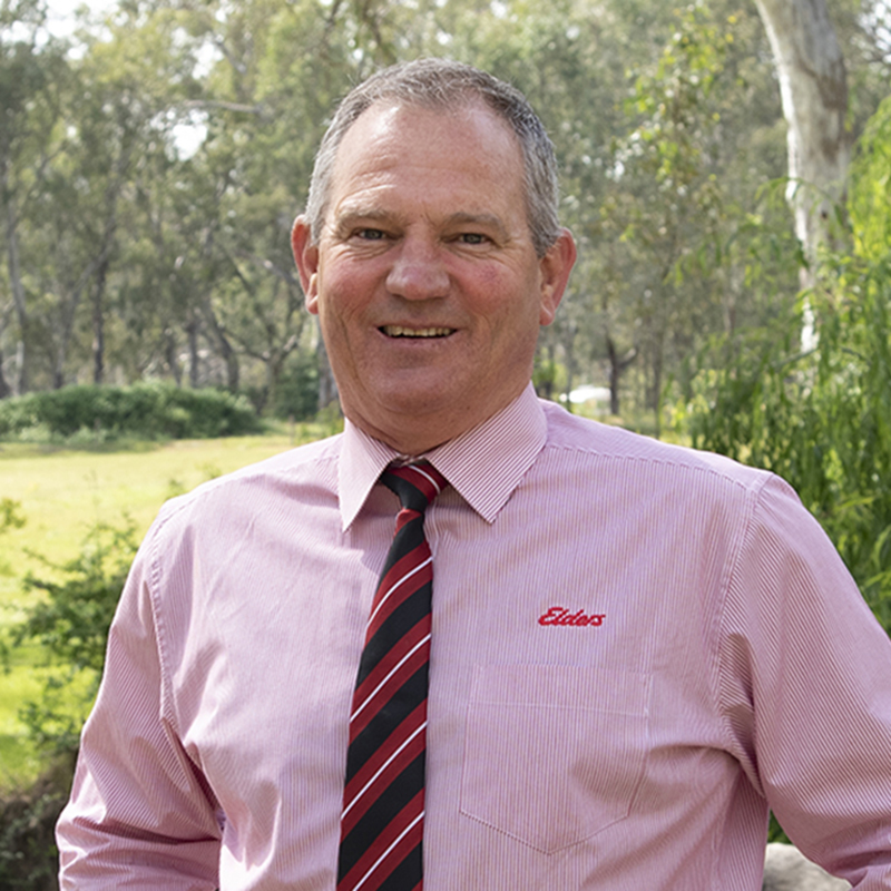 Michael Everard, Licensed Real Estate Agent & Auctioneer | Elders Real ...